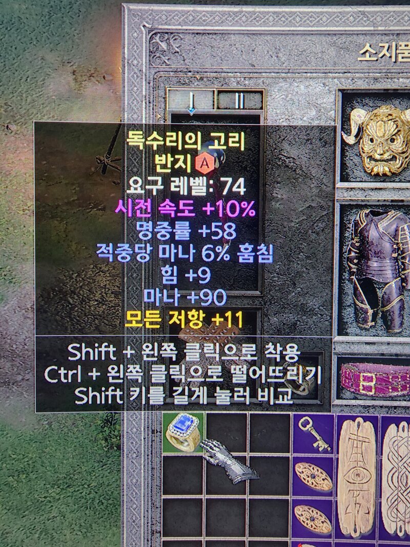 아는 동생이 먹은 반지 감정 부탁드려용 디아블로2 득템and자랑 게시판 디아블로2 인벤