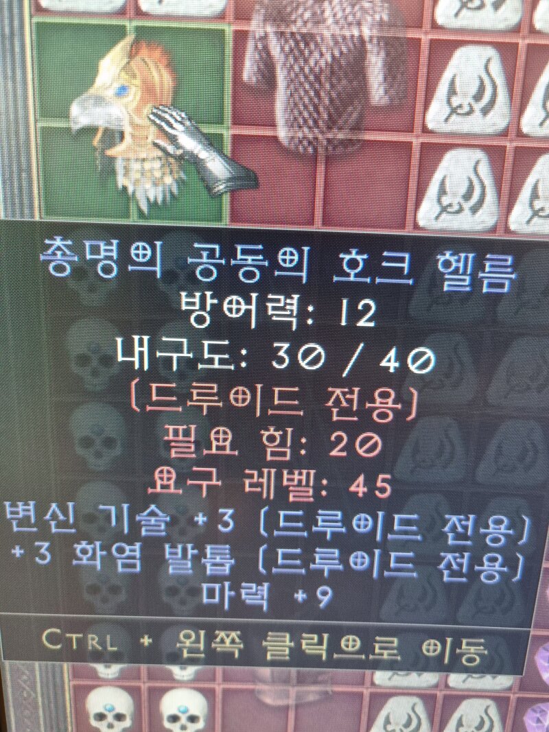 드루뚜껑이요 디아블로2 드루이드 게시판 디아블로2 인벤