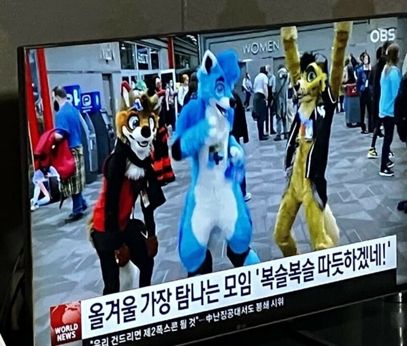 메이플스토리 인벤 퍼리뉴스 메이플스토리 인벤 자유게시판
