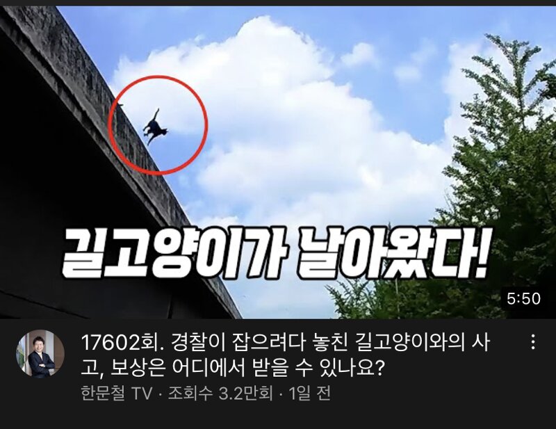 메이플스토리 인벤 아니 한문철 티비 레전드 ㅋㅋㅋㅋ 메이플스토리 인벤 자유게시판