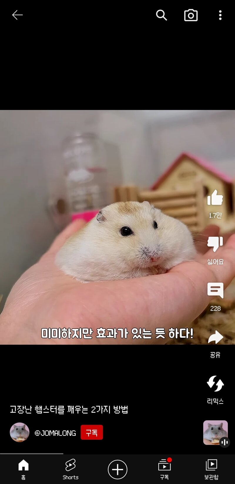 메이플스토리 인벤 쥐새끼 왤케 커여운데 메이플스토리 인벤 자유게시판