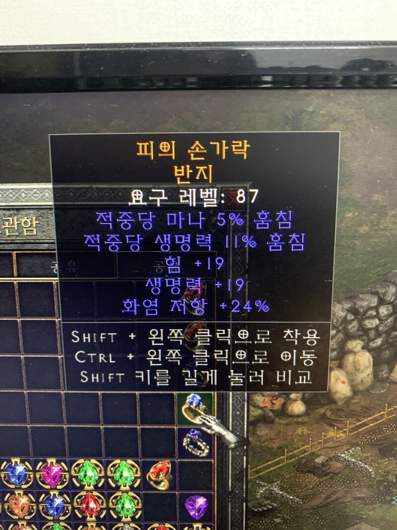 듀얼링 한번 봐주세여 디아블로2 아마존 게시판 디아블로2 인벤