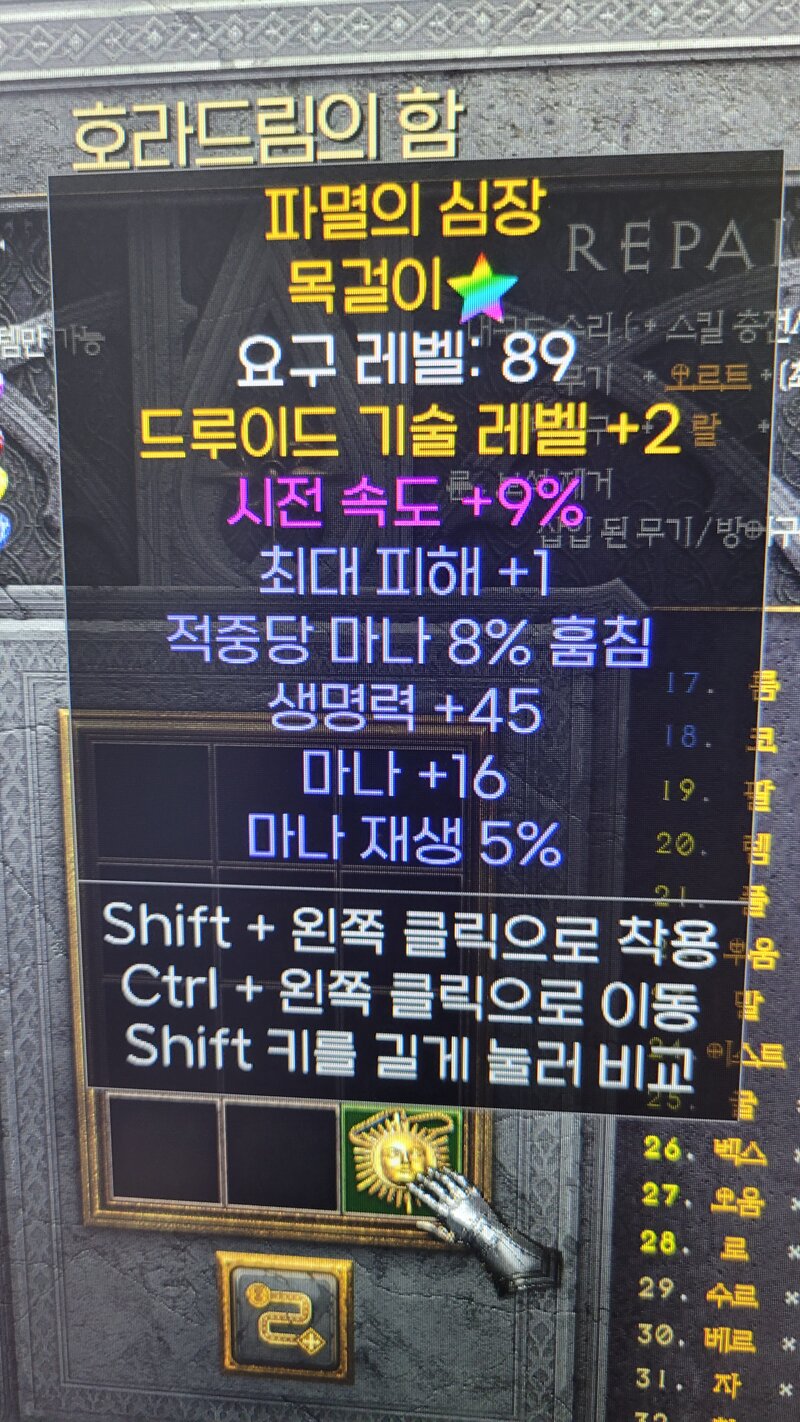 드루이드 목걸이 감정좀 해주세요 디아블로2 득템and자랑 게시판 디아블로2 인벤