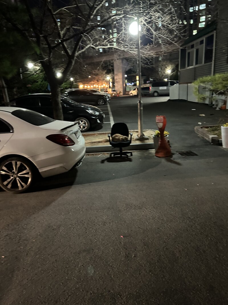 메이플스토리 인벤 너무 귀엽다 메이플스토리 인벤 자유게시판