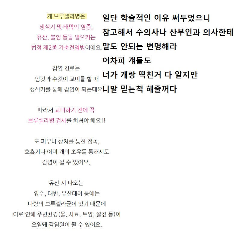 메이플스토리 인벤 강아지 성병 블로그 글 번역문 메이플스토리 인벤 자유게시판