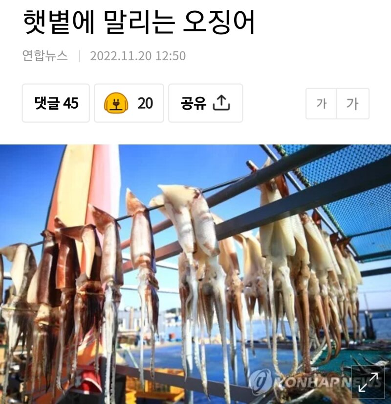 로스트아크 인벤 니들 날씨좋다고 로스트아크 인벤 자유 게시판구