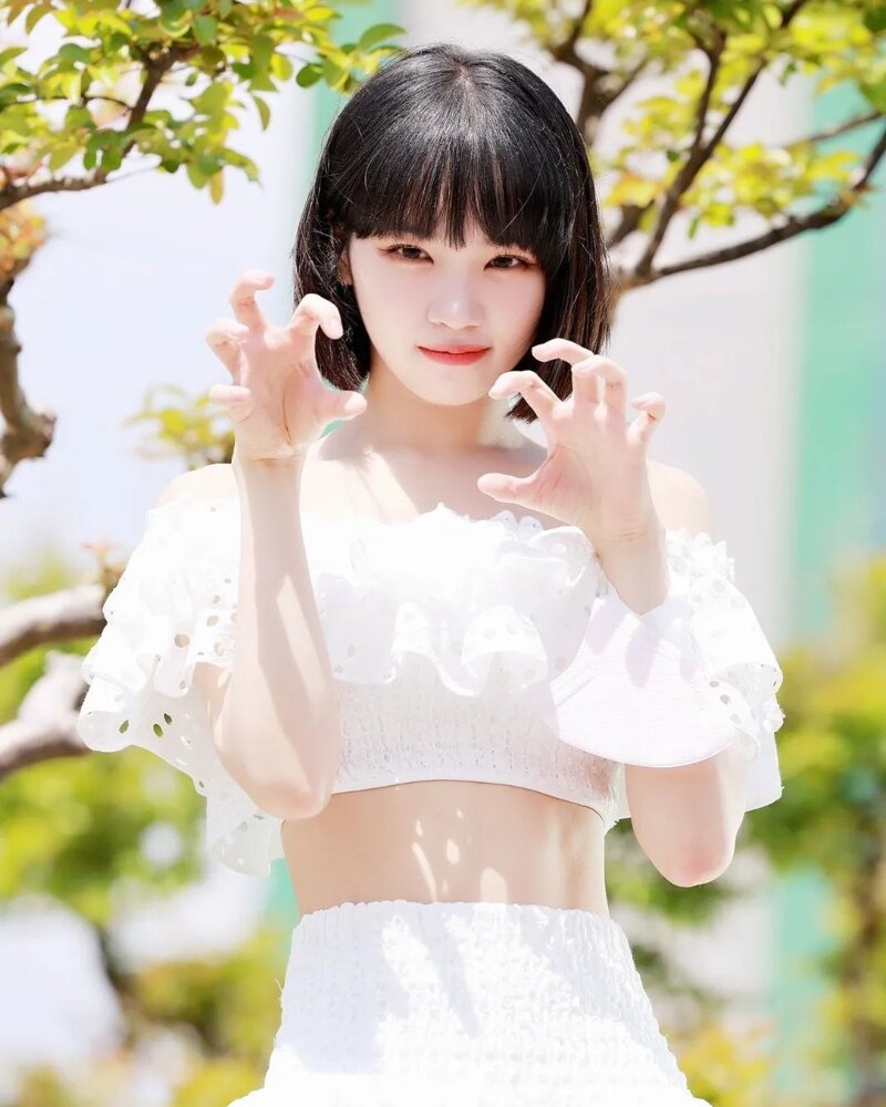 메이플스토리 인벤 칼리 김채원 닮음 메이플스토리 인벤 자유게시판