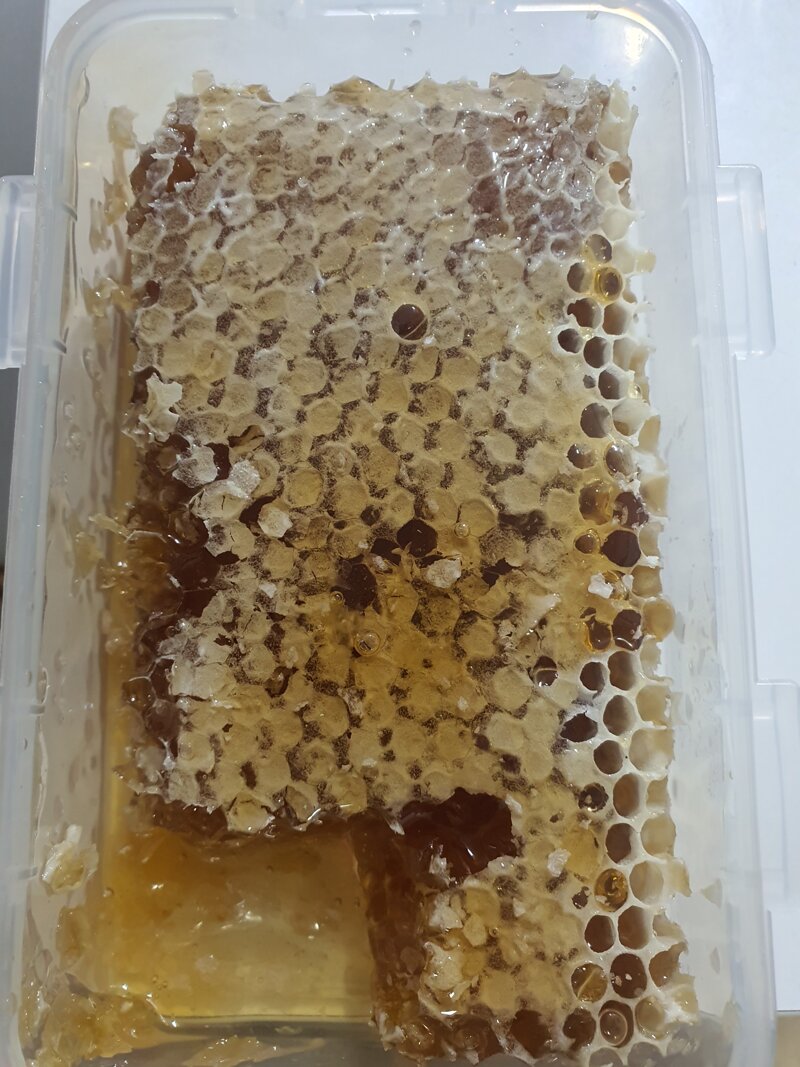 메이플스토리 인벤 만약 리부트가 메소거래는 안되는대신 메이플스토리 인벤 리부트 게시판
