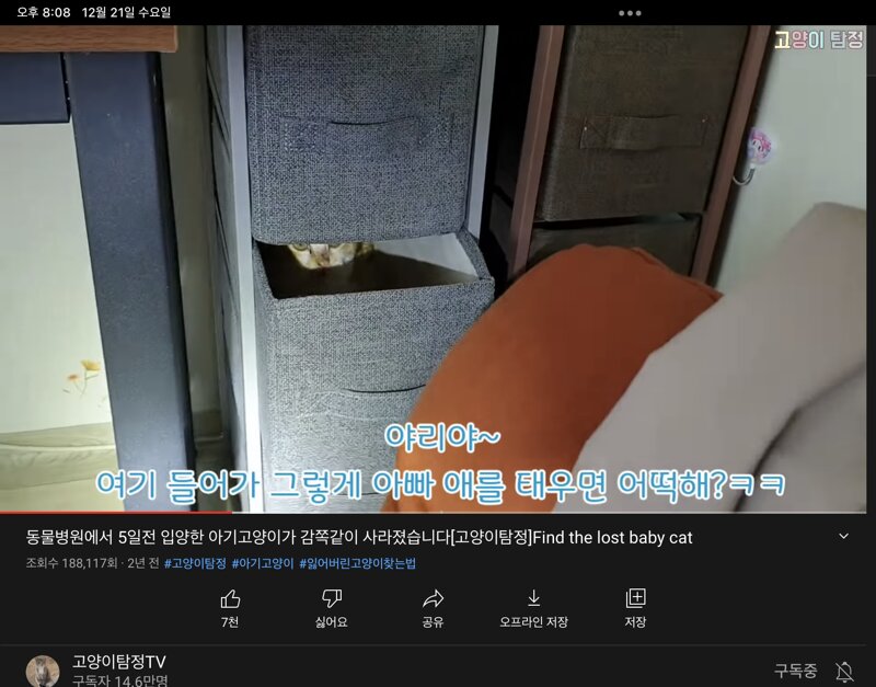 메이플스토리 인벤 이거 너무 기여워 메이플스토리 인벤 자유게시판