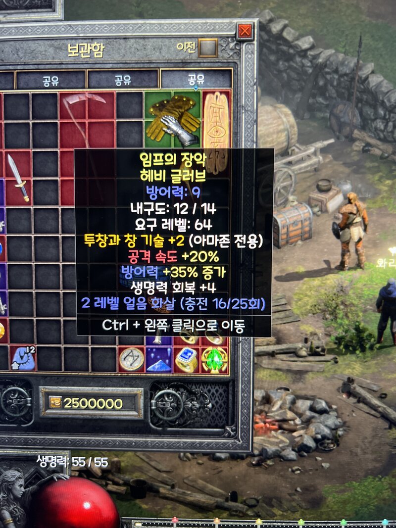 아마존 공속 장갑 디아블로2 자유 게시판 디아블로2 인벤