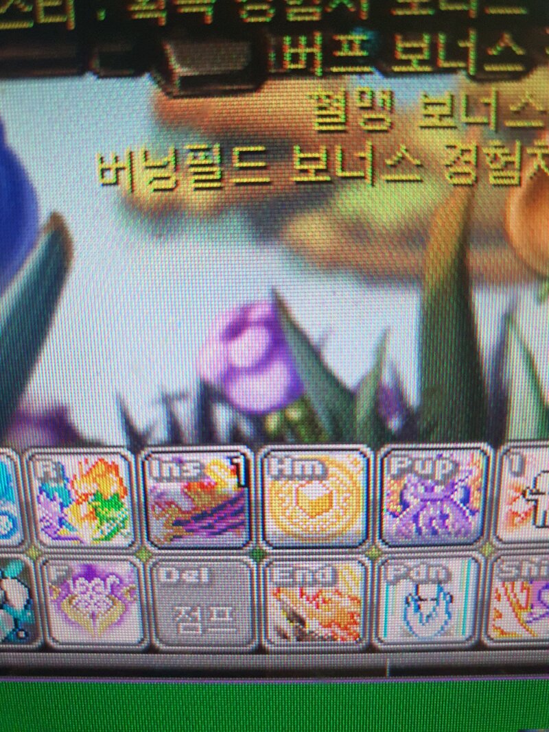 메이플스토리 인벤 소신발언함 메이플스토리 인벤 자유게시판