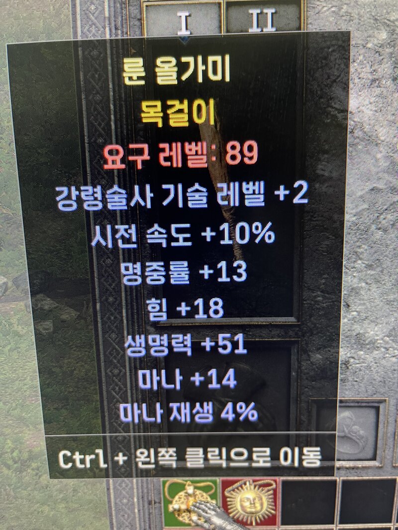 악세들 쓰는건지 좀 봐주세요ㅠㅠ 디아블로2 득템and자랑 게시판 디아블로2 인벤