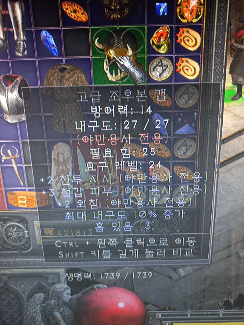 형들 착란재료 괜찮은거같아서요 디아블로2 득템and자랑 게시판 디아블로2 인벤