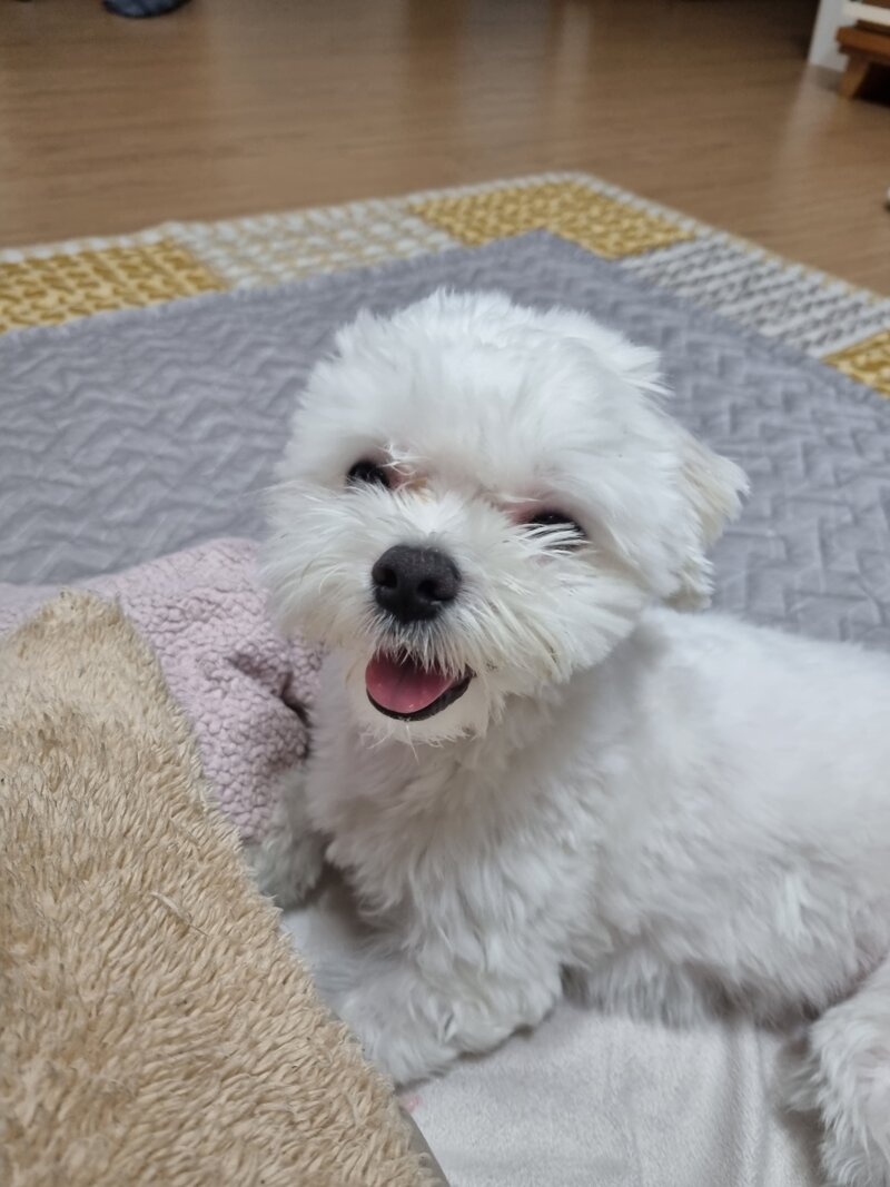 메이플스토리 인벤 잘 있어라 솔로새끼들아 난 내일 데이트 한다 메이플스토리 인벤 자유게시판