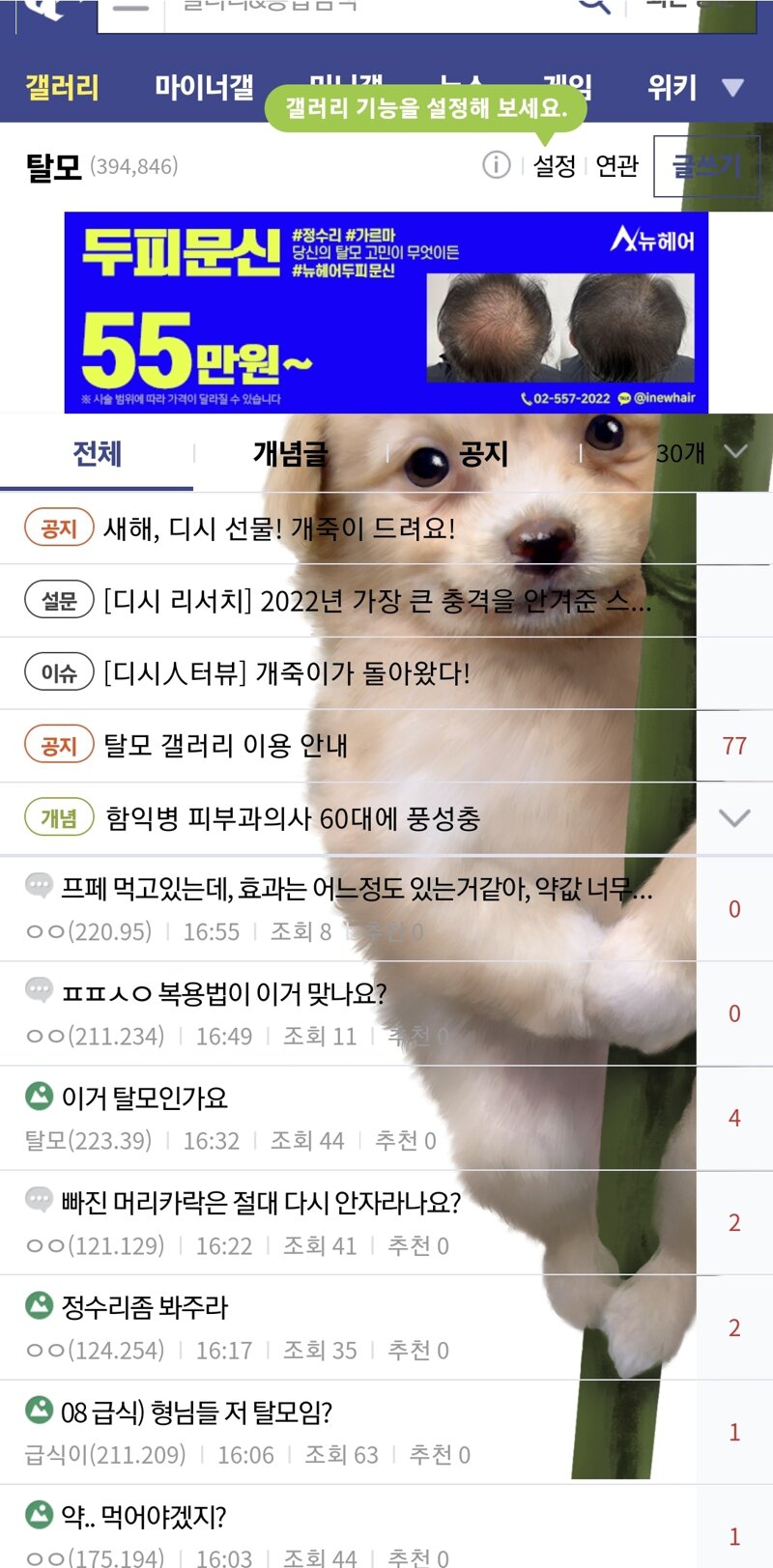 메이플스토리 인벤 이새끼 뭐녀 메이플스토리 인벤 자유게시판