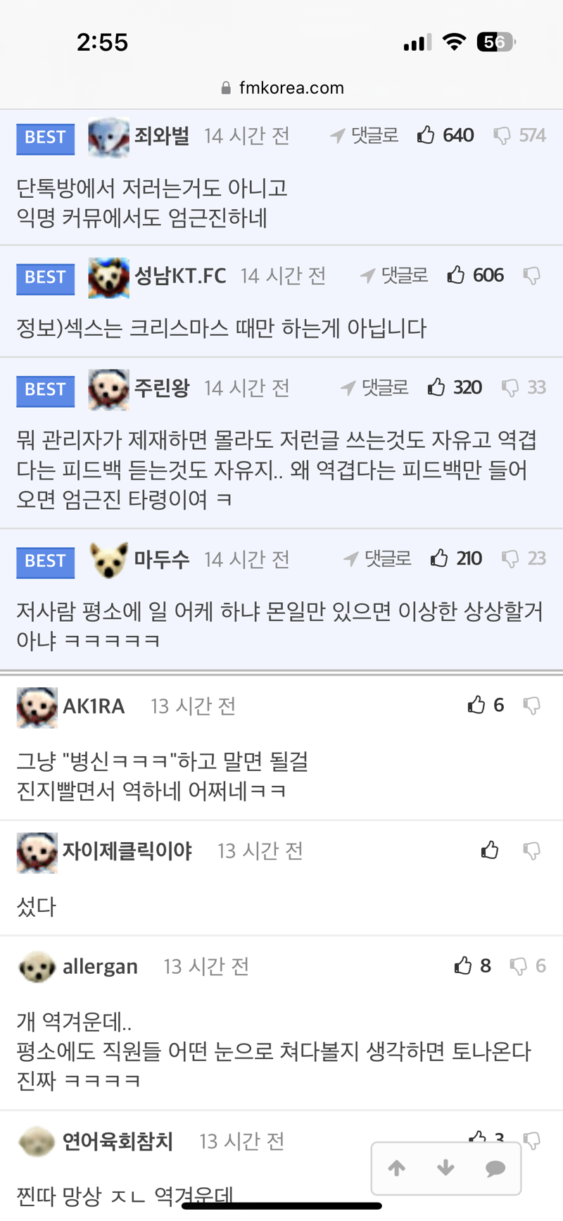 펨코에 수출된 오이갤 ㄷㄷ 오픈이슈갤러리 인벤