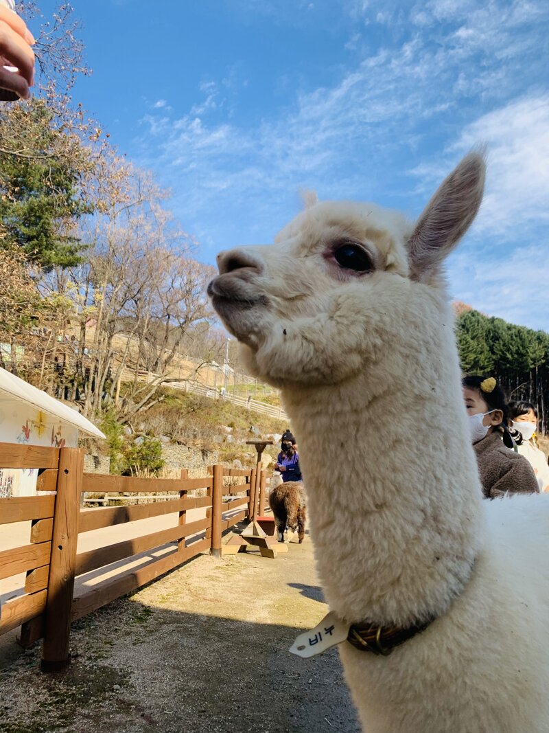 월드 오브 워크래프트 인벤 당신 질문있어요 와우 인벤 확장팩 통합 전장 게시판