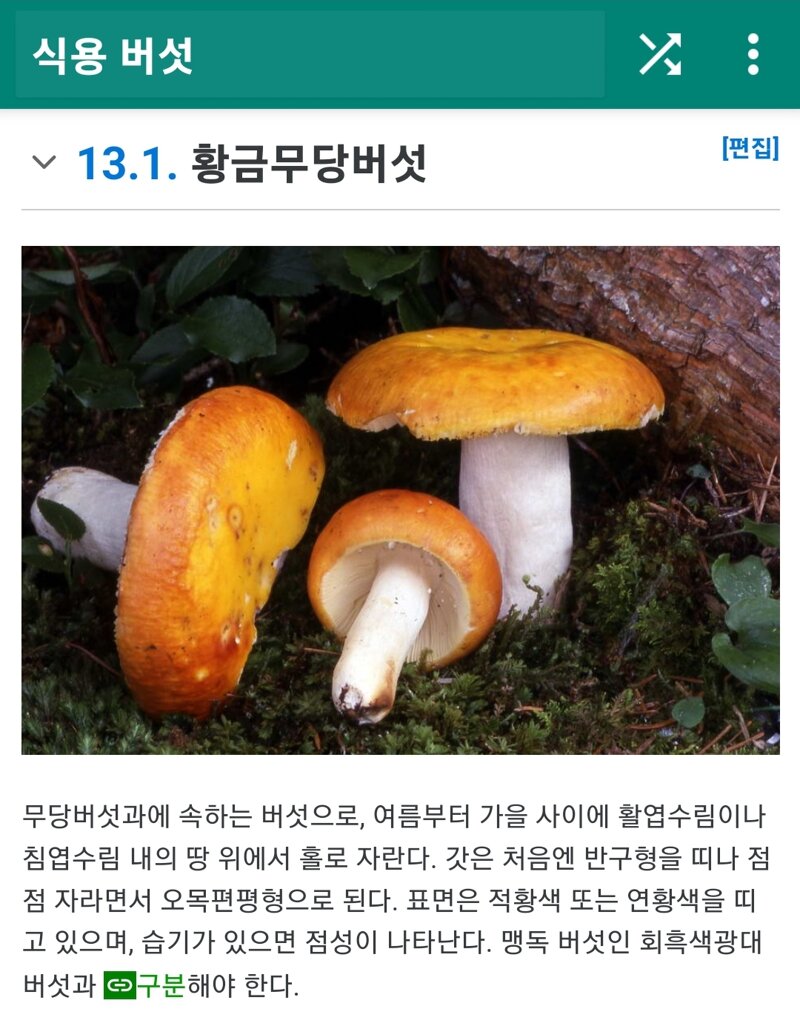 메이플스토리 인벤 주황버섯 메이플스토리 인벤 자유게시판