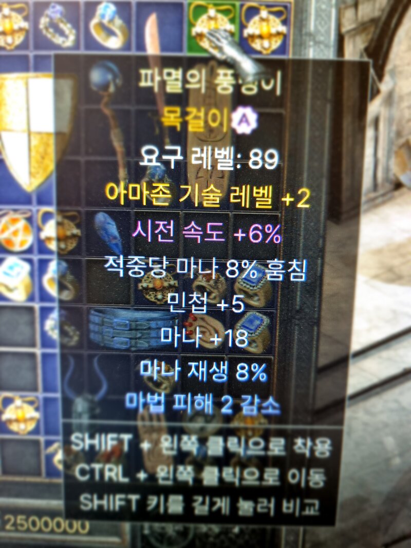 목걸이 감정 부탁 드립니다 디아블로2 득템and자랑 게시판 디아블로2 인벤