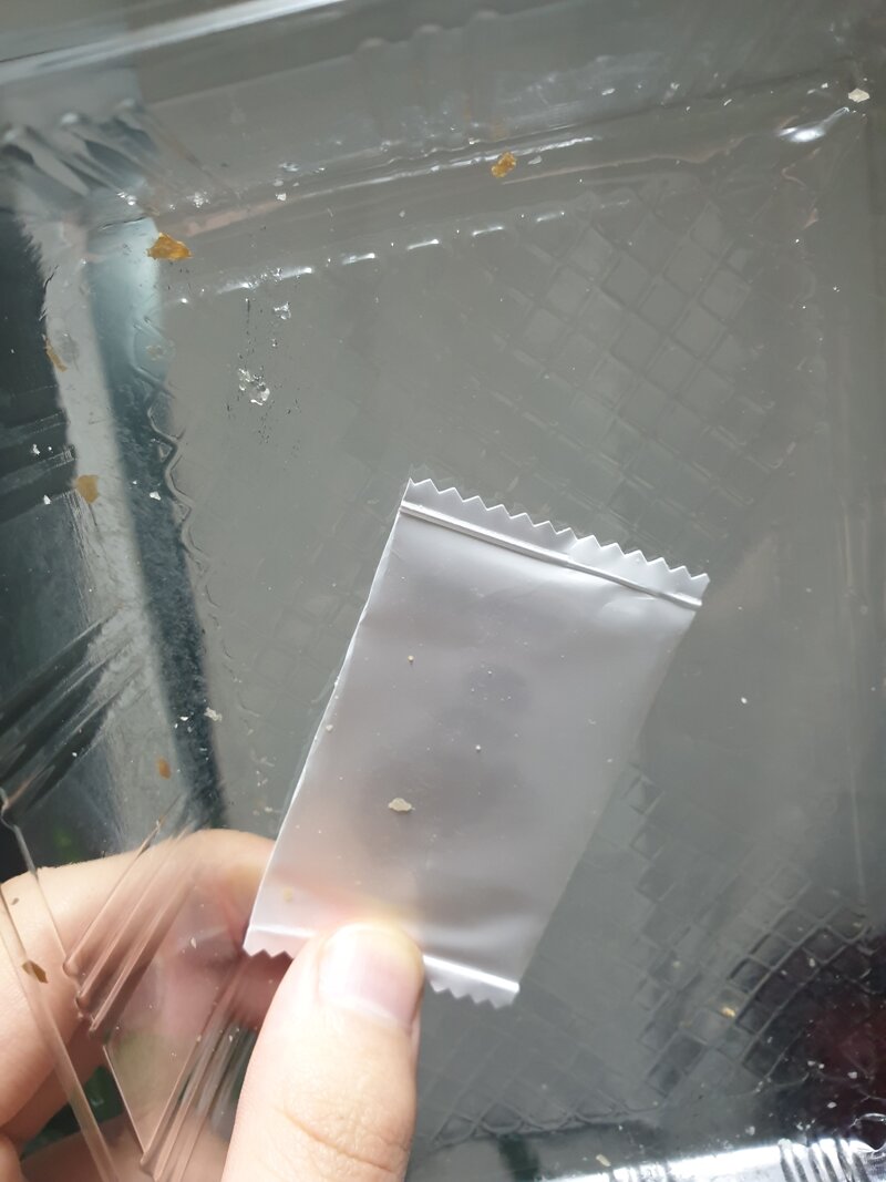 메이플스토리 인벤 퍼리벤에 메이플빵 자랑하러왔다 메이플스토리 인벤 자유게시판