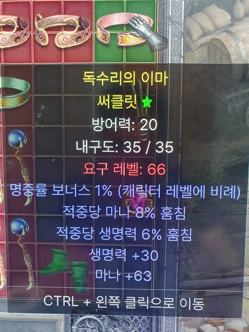 그리형형형형 이것도 환이야 디아블로2 득템and자랑 게시판 디아블로2 인벤
