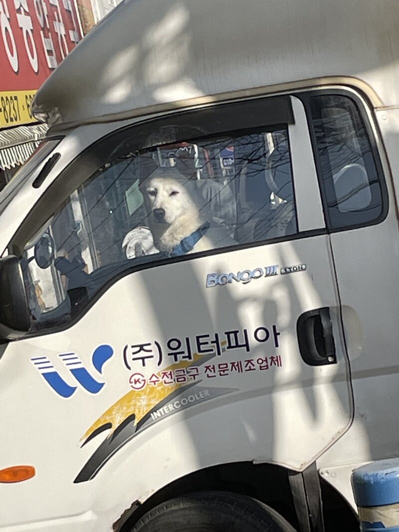 메이플스토리 인벤 운전하개 메이플스토리 인벤 자유게시판
