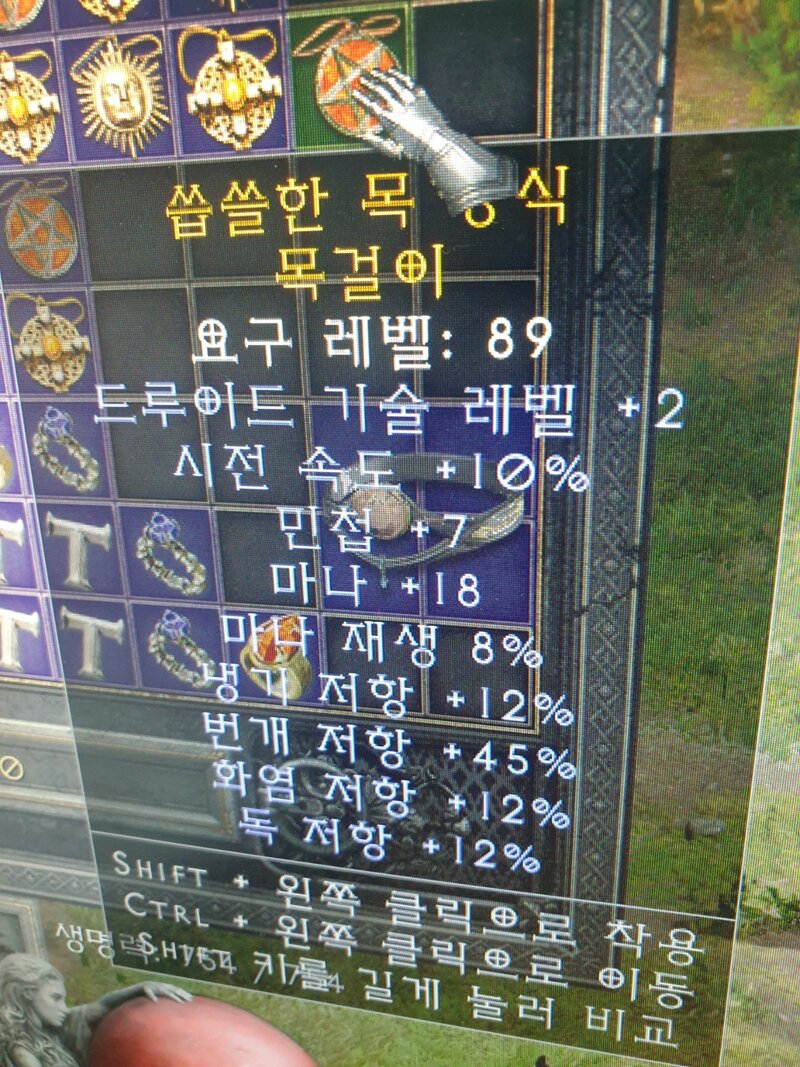 그리형 드루 아뮬 봐주실수 있을까요 디아블로2 득템and자랑 게시판 디아블로2 인벤