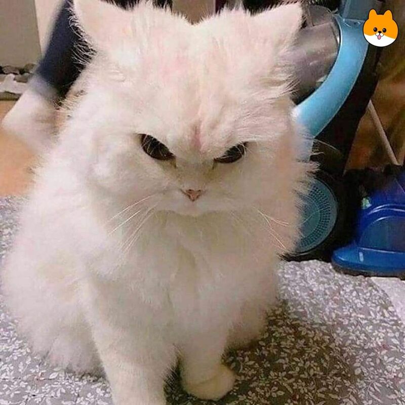 로스트아크 인벤 슬레이어가 진짜 레더가 없으면 우린 반대로 로스트아크 인벤 버서커 게시판