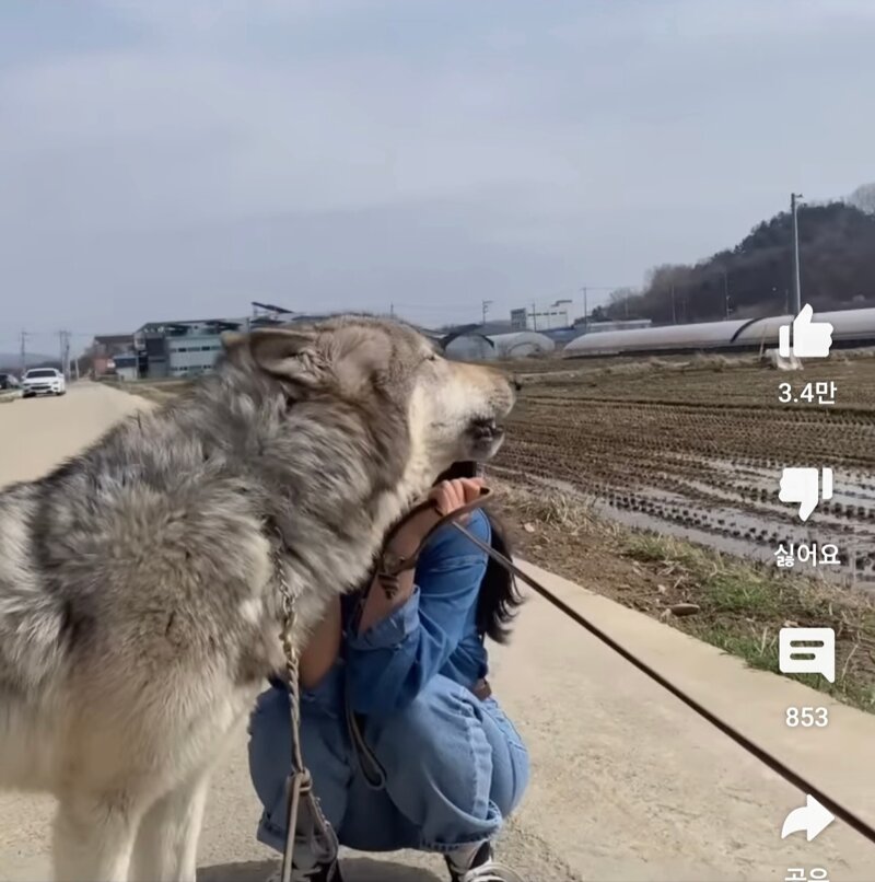 메이플스토리 인벤 유튭보다 갑자기 생각났는데 메이플스토리 인벤 자유게시판