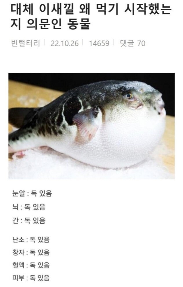 메이플스토리 인벤 이걸 먹기 시작했는지 의문인 식재료 메이플스토리 인벤 자유게시판