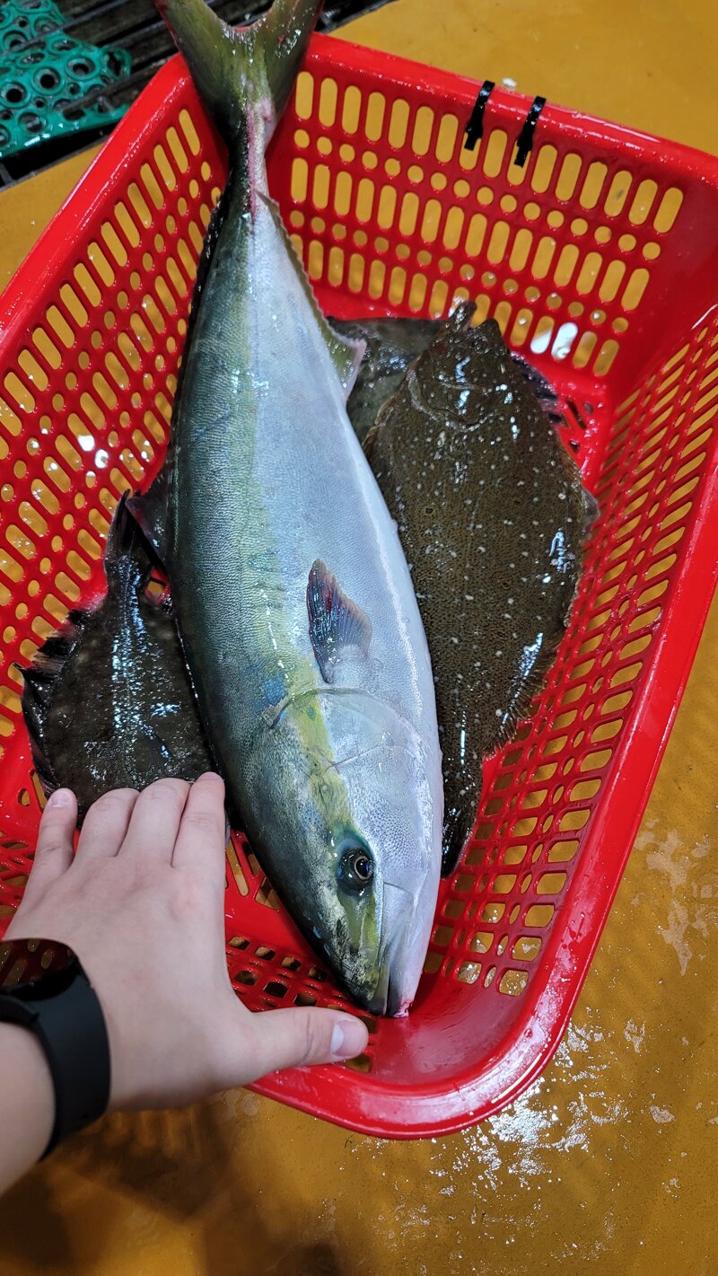 메이플스토리 인벤 방어 맛있더라 메이플스토리 인벤 자유게시판