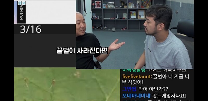 메이플스토리 인벤 침착맨과 주펄이 고르는 꿀벌 Vs 아인슈타인 메이플스토리 인벤 자유게시판