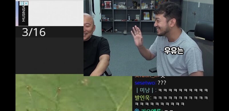메이플스토리 인벤 침착맨과 주펄이 고르는 꿀벌 Vs 아인슈타인 메이플스토리 인벤 자유게시판