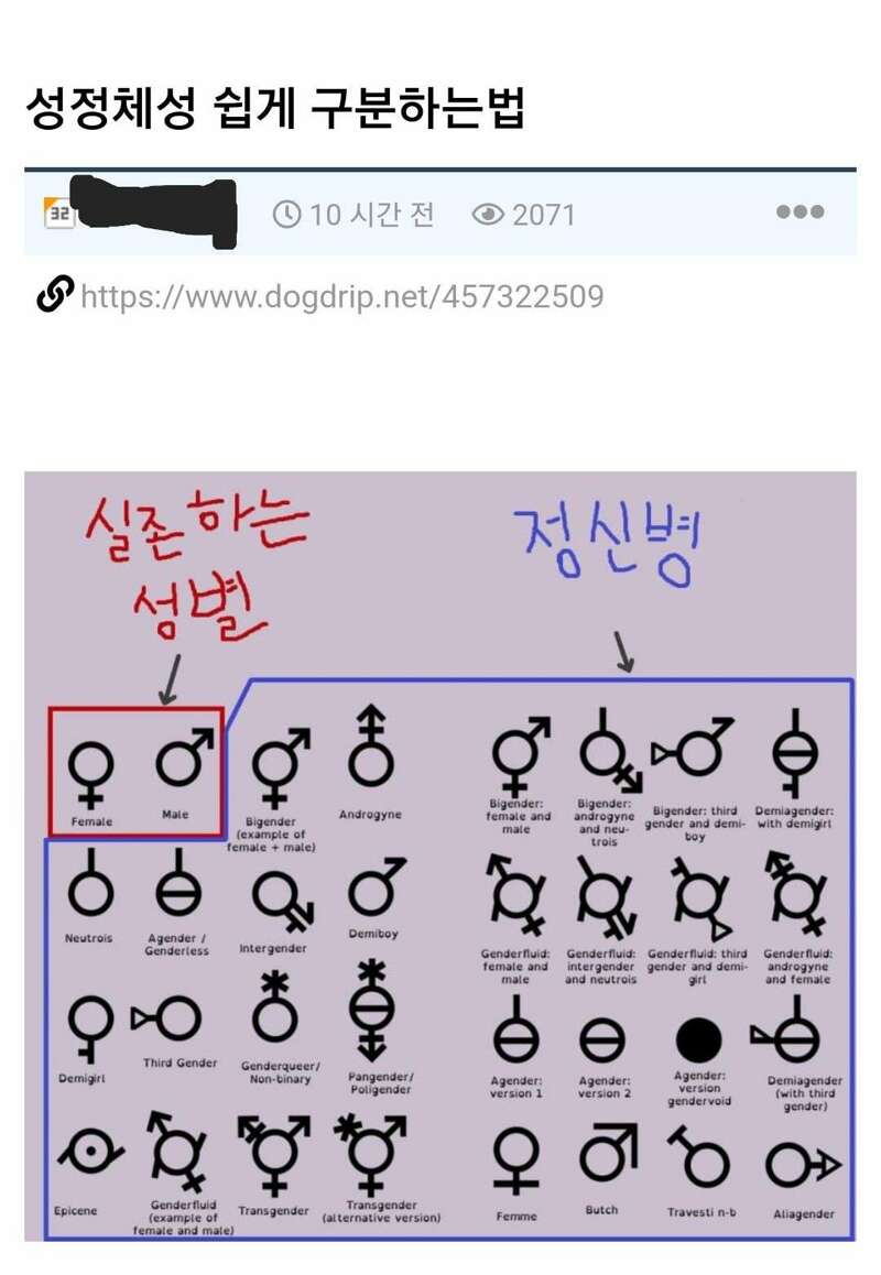 메이플스토리 인벤 포켓몬스터 Dp 메이플스토리 인벤 자유게시판
