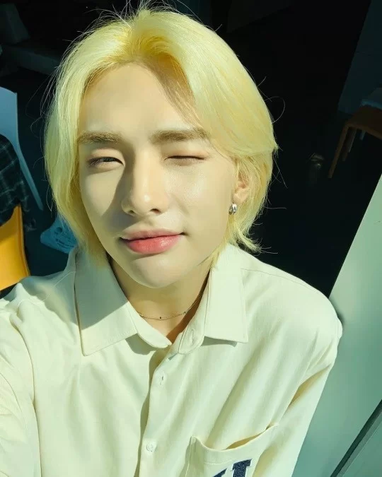 메이플스토리 인벤 셀론헤어 생각보다 괜찮은데 메이플스토리 인벤 자유게시판