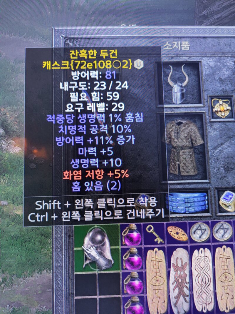 성기사 피슴질딘 키웁니다 용병 투구 문의 디아블로2 질문과 답변 디아블로2 인벤