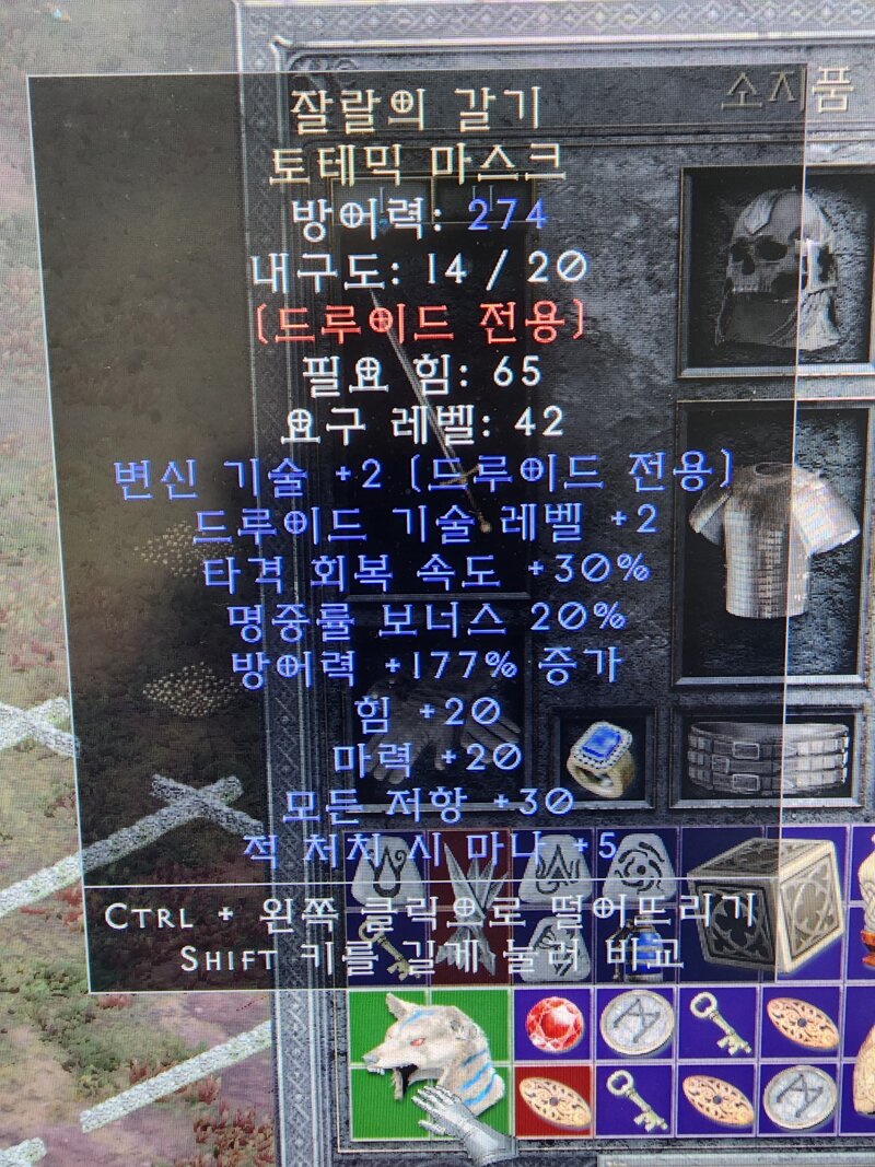 고수님들 유닉뚜껑 쓰나요 디아블로2 드루이드 게시판 디아블로2 인벤