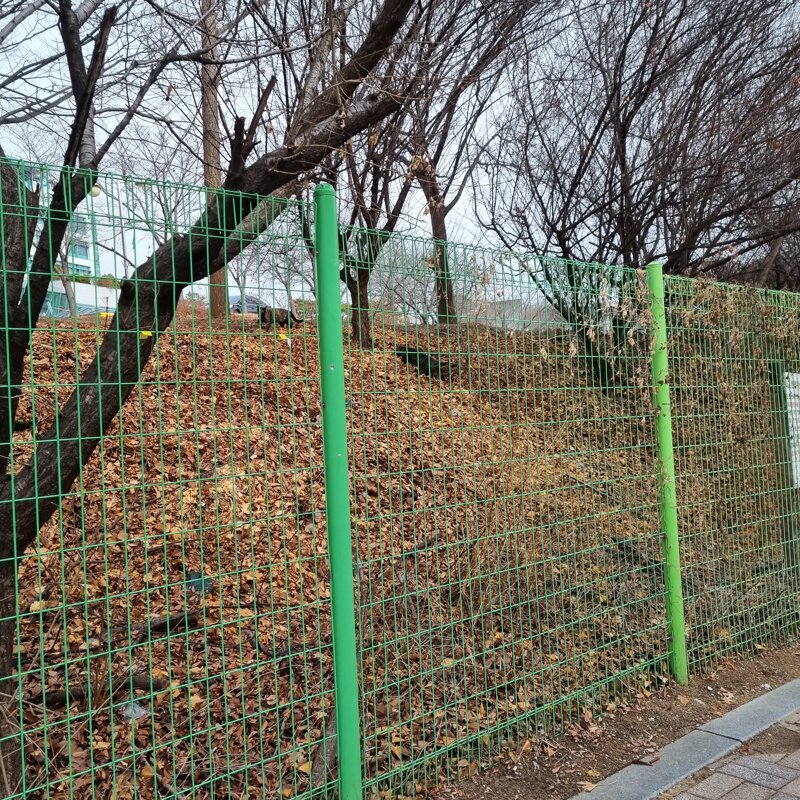 메이플스토리 인벤 길고양이 색깔이 특이해 메이플스토리 인벤 자유게시판