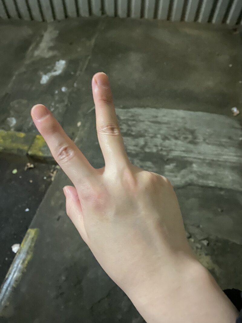 메이플스토리 인벤 브이 메이플스토리 인벤 자유게시판