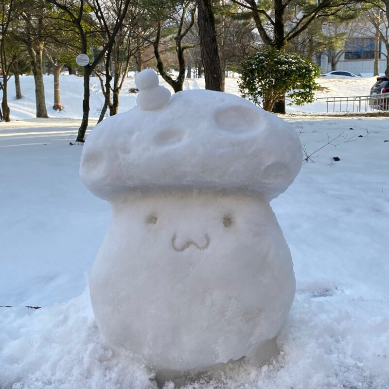 메이플스토리 인벤 주황버섯 눈사람 보고가 ☃ 메이플스토리 인벤 자유게시판