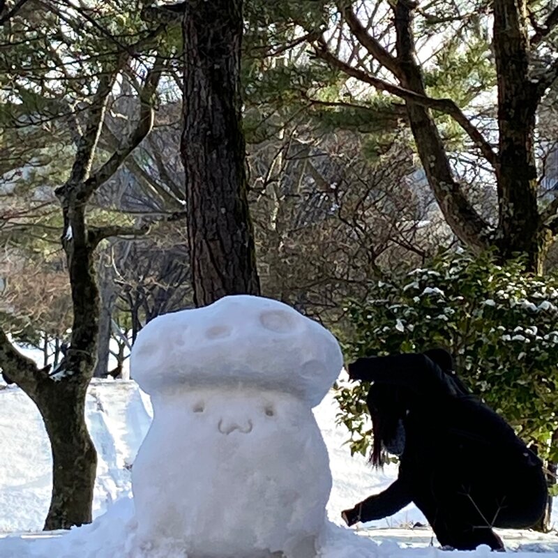 메이플스토리 인벤 주황버섯 눈사람 보고가 ☃ 메이플스토리 인벤 자유게시판