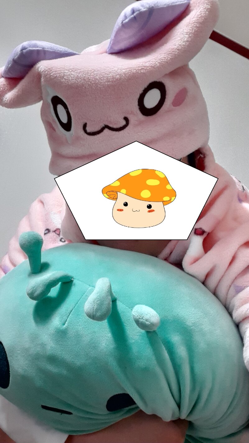 메이플스토리 인벤 담요 착용샷 메이플스토리 인벤 자유게시판