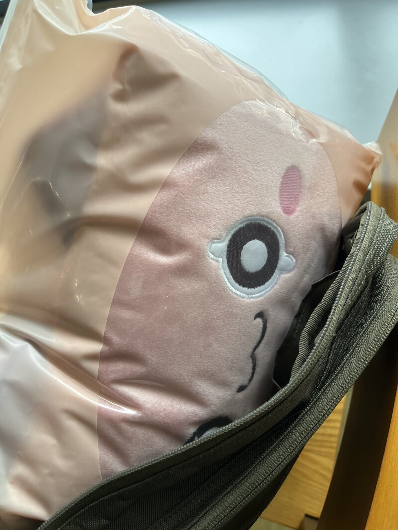 메이플스토리 인벤 이삭담요 납치 메이플스토리 인벤 자유게시판