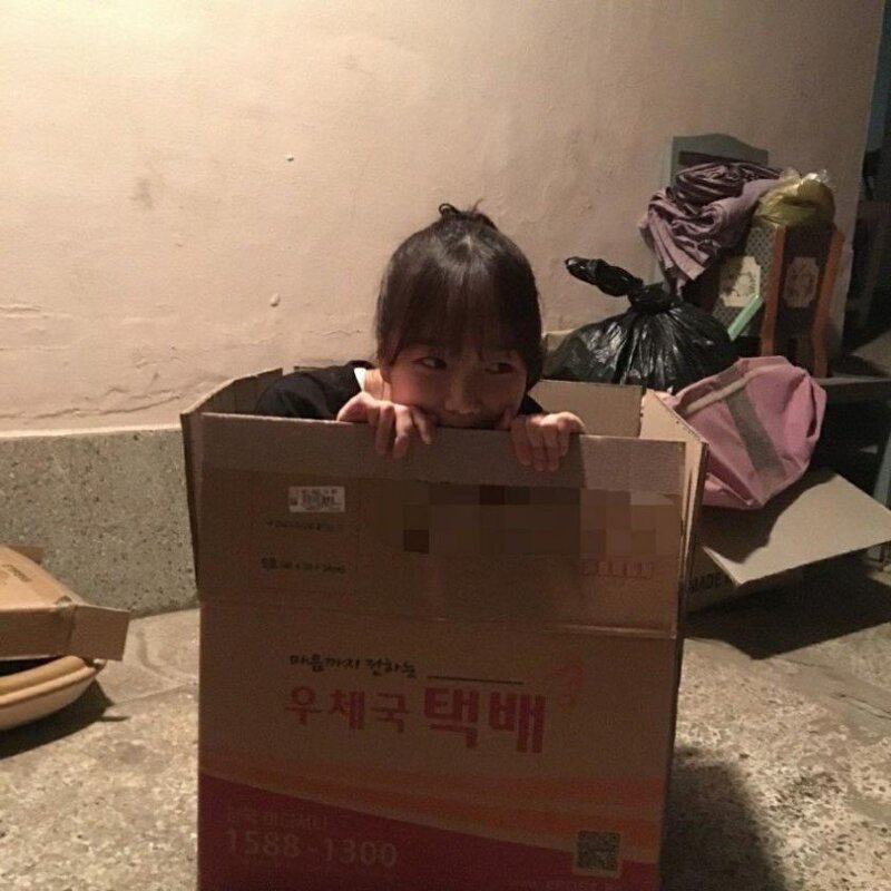 메이플스토리 인벤 카톡 좀 봐줘 메이플스토리 인벤 자유게시판