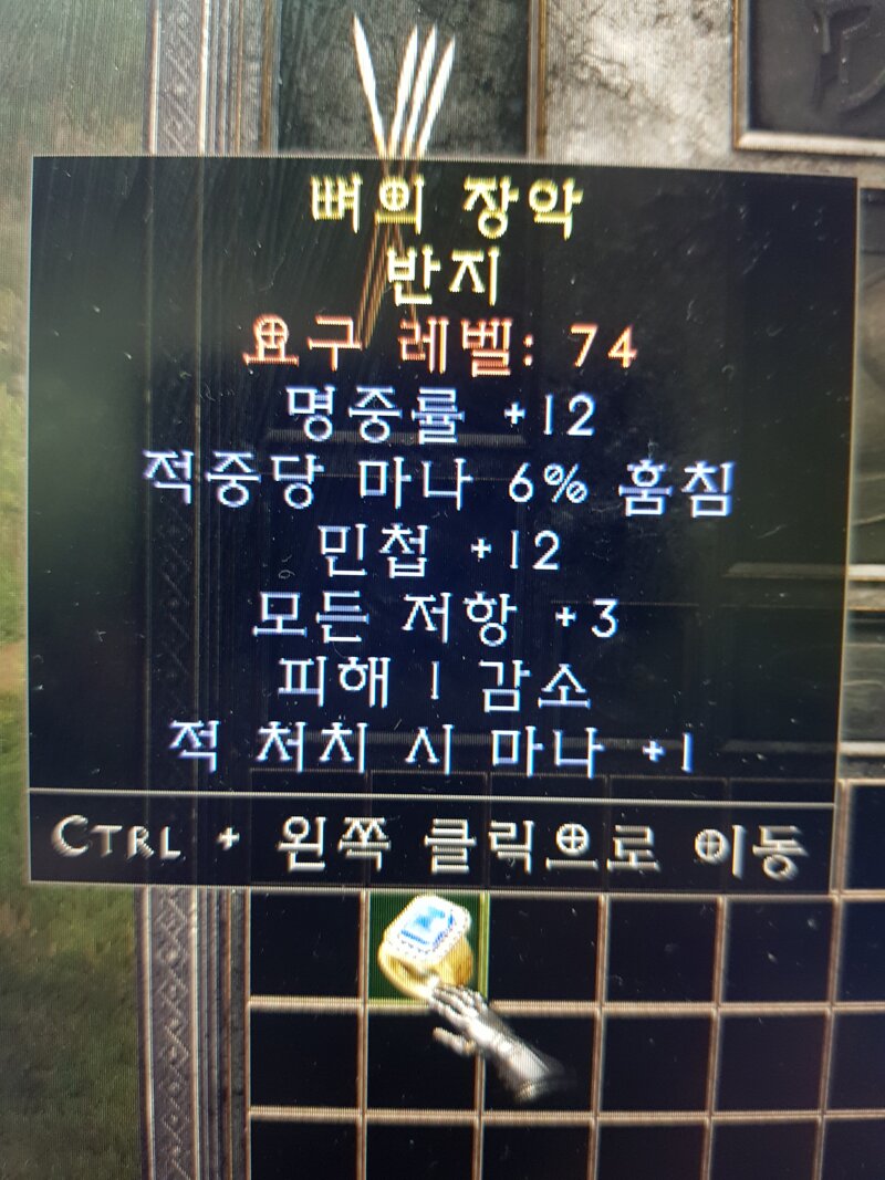 링 감정 디아블로2 자유 게시판 디아블로2 인벤