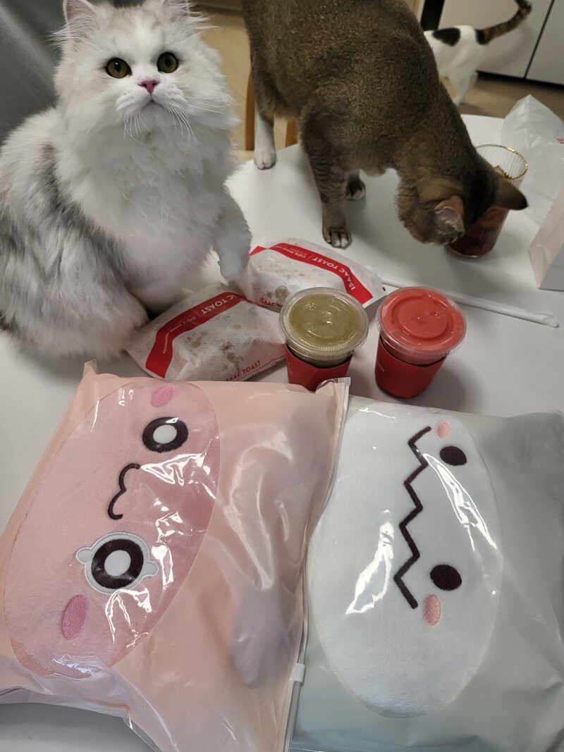 메이플스토리 인벤 나도 담요 메이플스토리 인벤 자유게시판