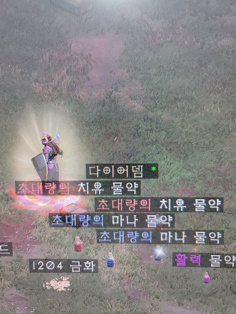 공포 카우방 1시간 디아블로2 득템and자랑 게시판 디아블로2 인벤