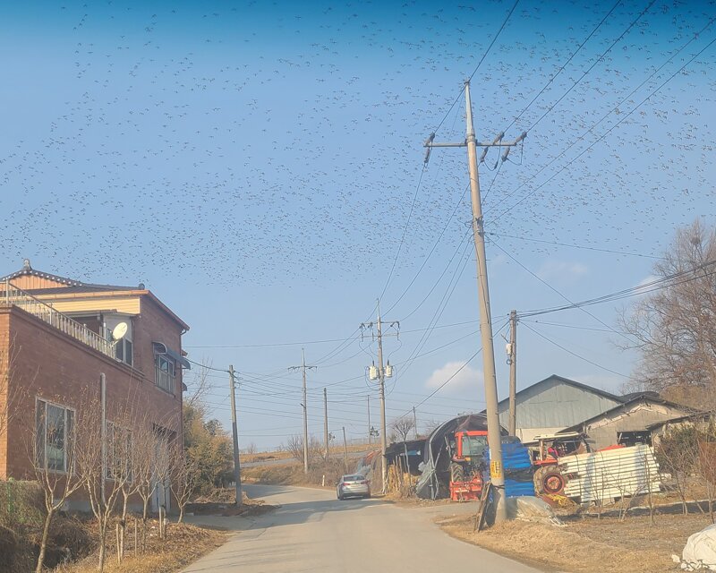 메이플스토리 인벤 헐 지진나는거야 얘들아 메이플스토리 인벤 자유게시판