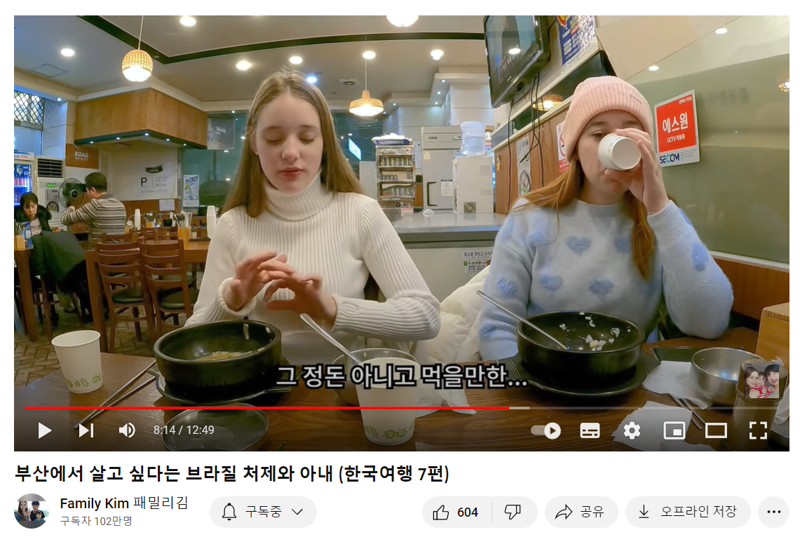 수익 정지된 100만 국제 커플 유튜버 오픈이슈갤러리 인벤