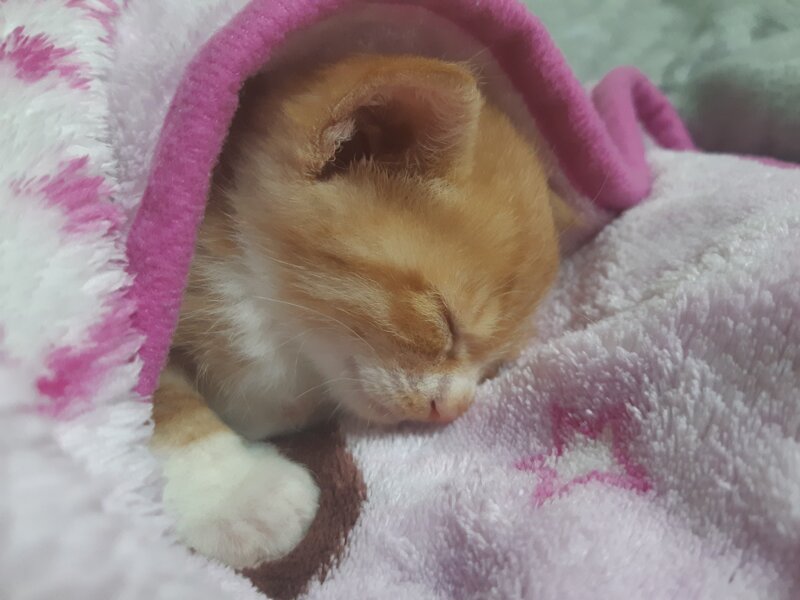 메이플스토리 인벤 이거 인벤 원래 댓글로는 레벨 안오르나요 메이플스토리 인벤 자유게시판